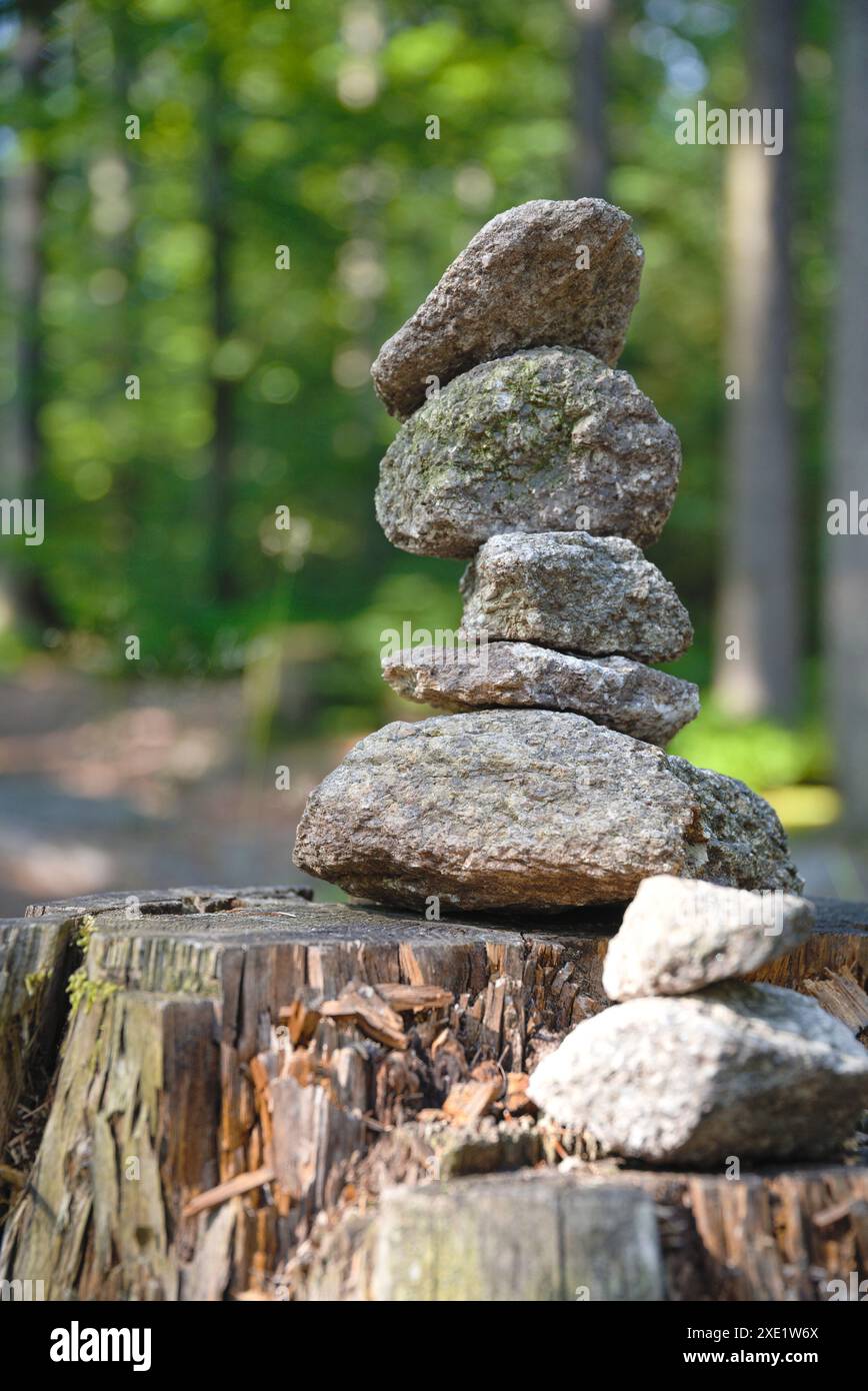 Stone tree stump hi-res stock photography and images - Alamy