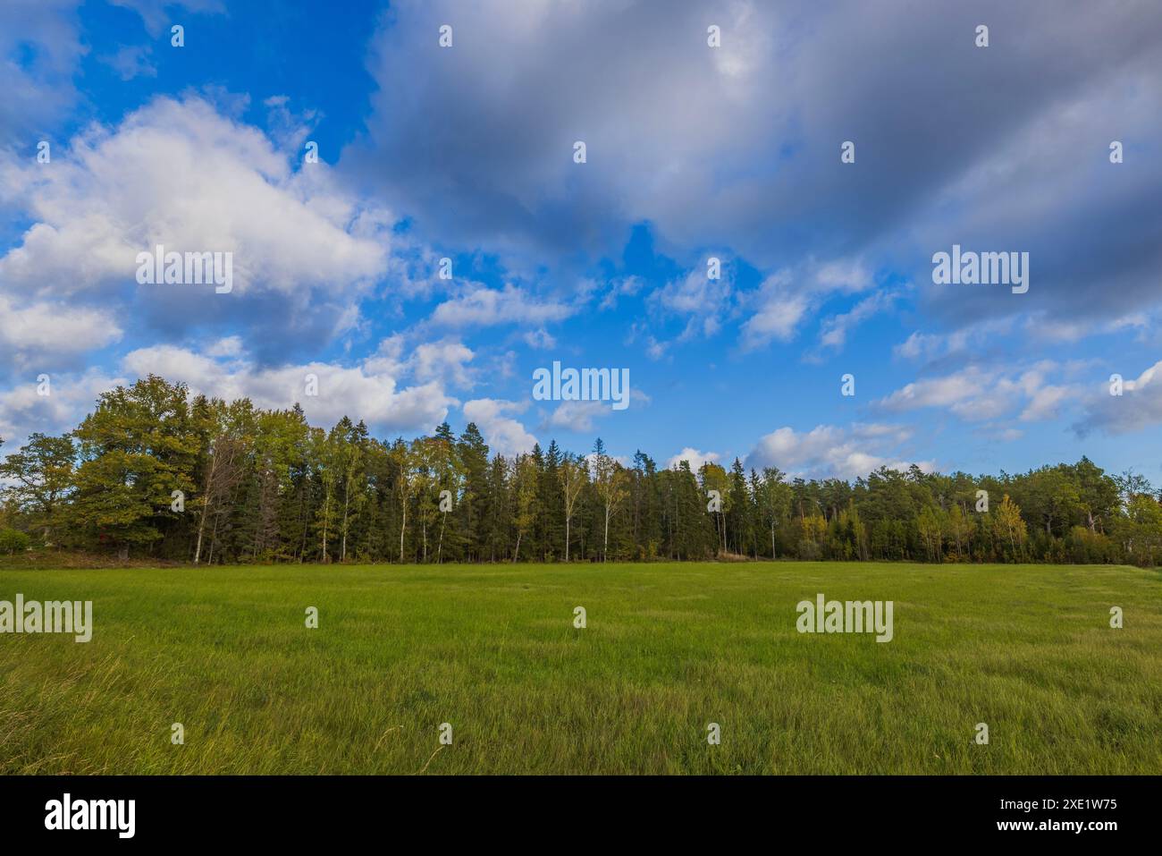 Beautiful view of agricultural field set against autumn forest backdrop ...