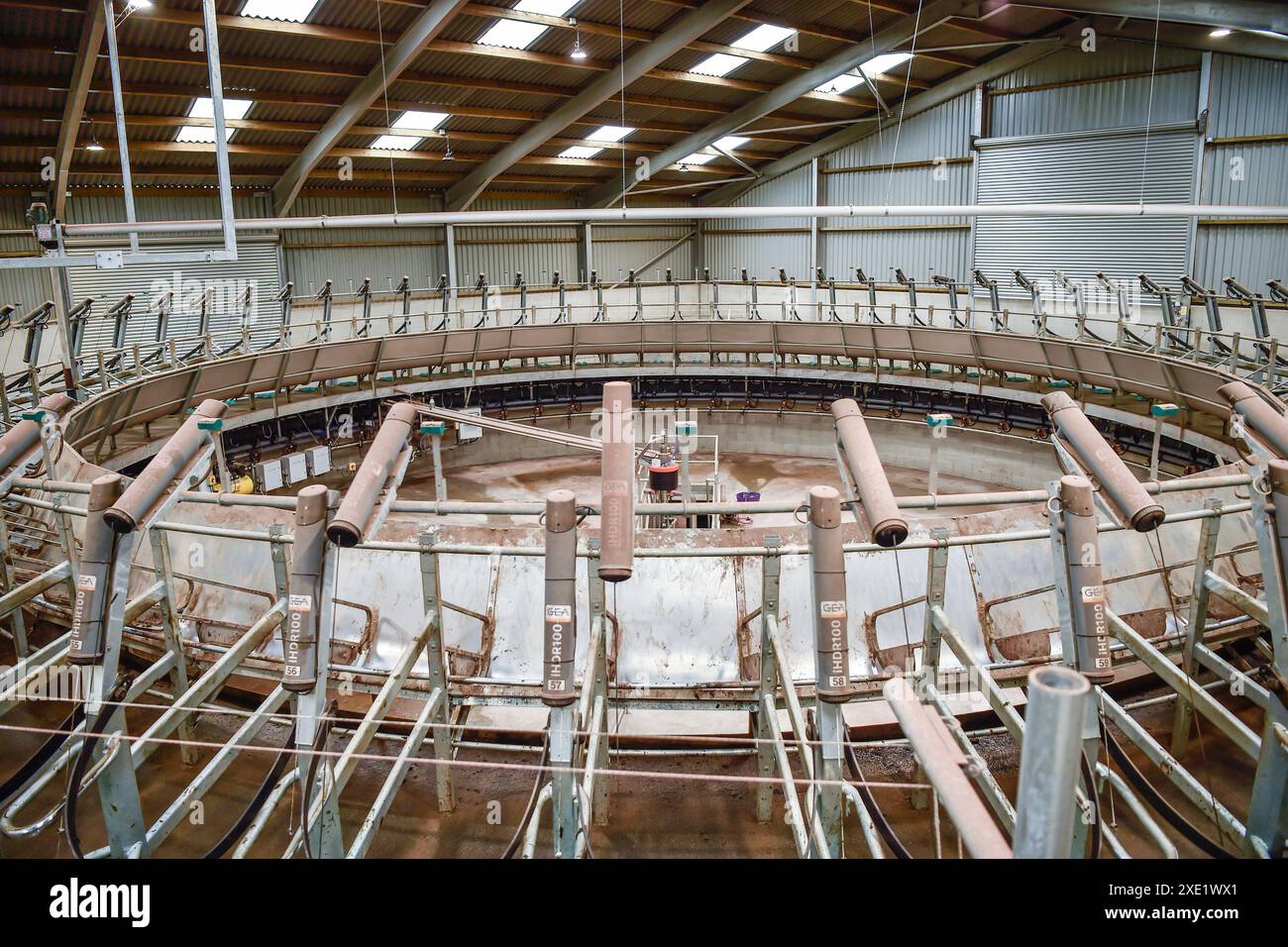 Rotary milking parlour Stock Photo - Alamy