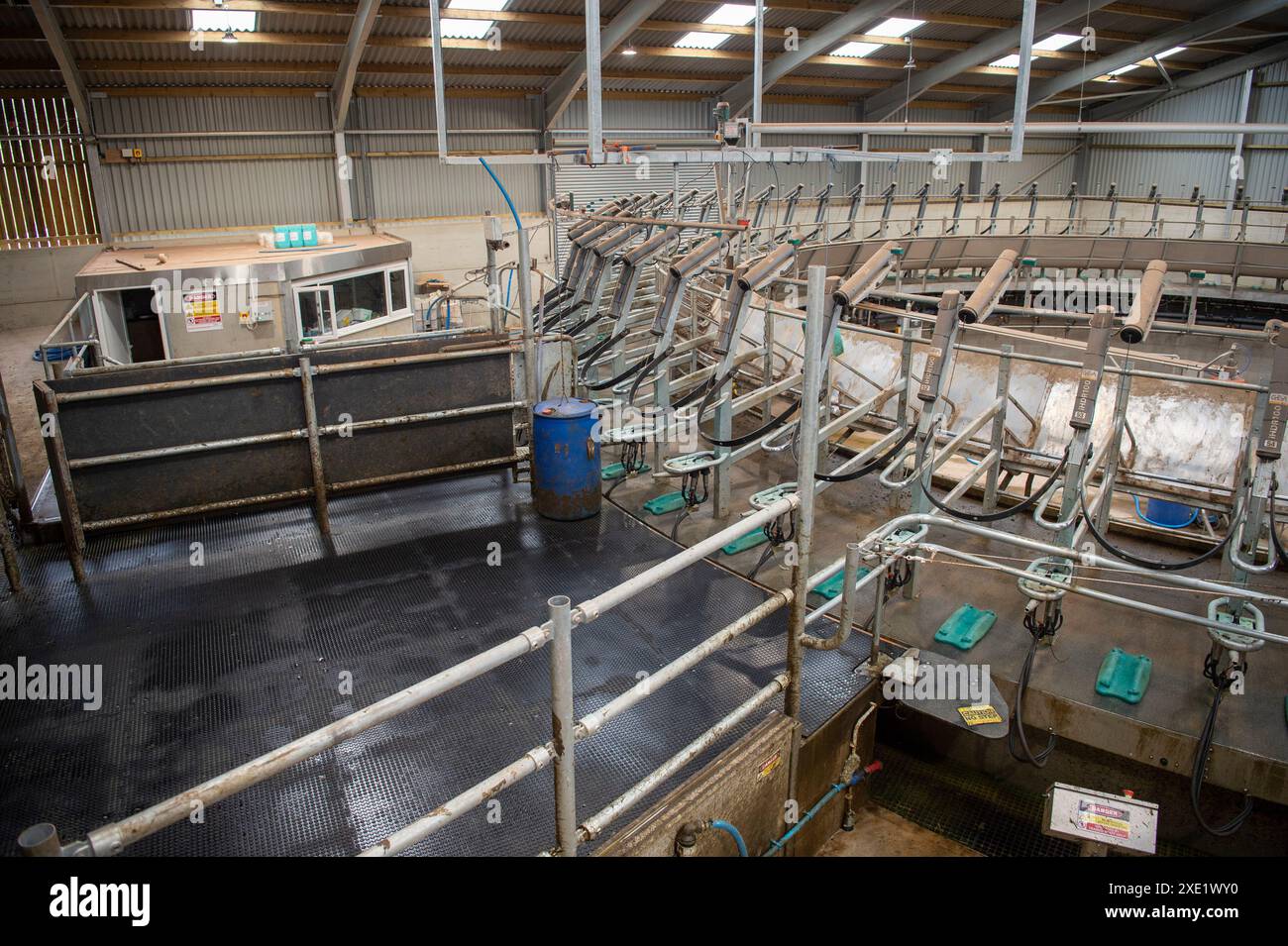 Rotary milking parlour Stock Photo - Alamy