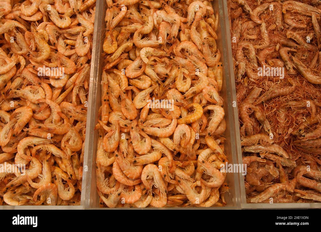 Hypermarket, Shrimp, shellfish, crustaceans frozen Stock Photo - Alamy