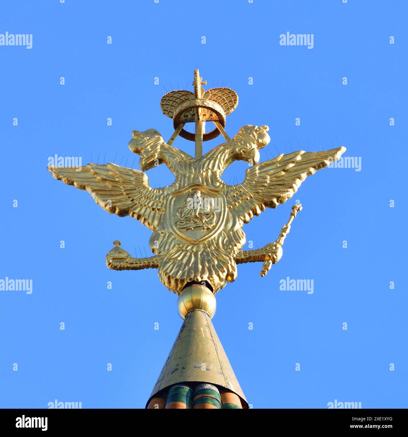 Double-headed eagle - coat of arms of the Russian Federation on the ...