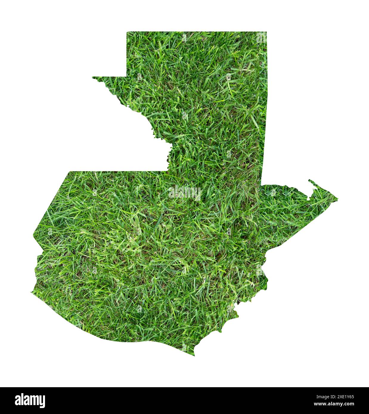 Guatemala grass Cut Out Stock Images & Pictures - Alamy