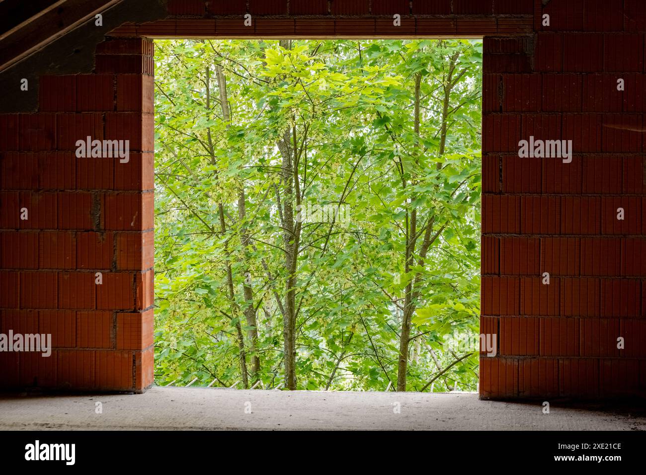 an open brick wall in an unfinished house with a view of nature Stock ...