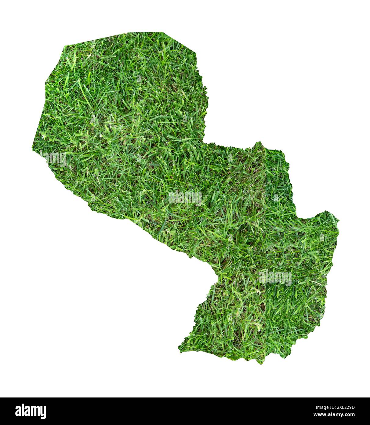 Map of Paraguay showing the country as a grass football field Stock ...