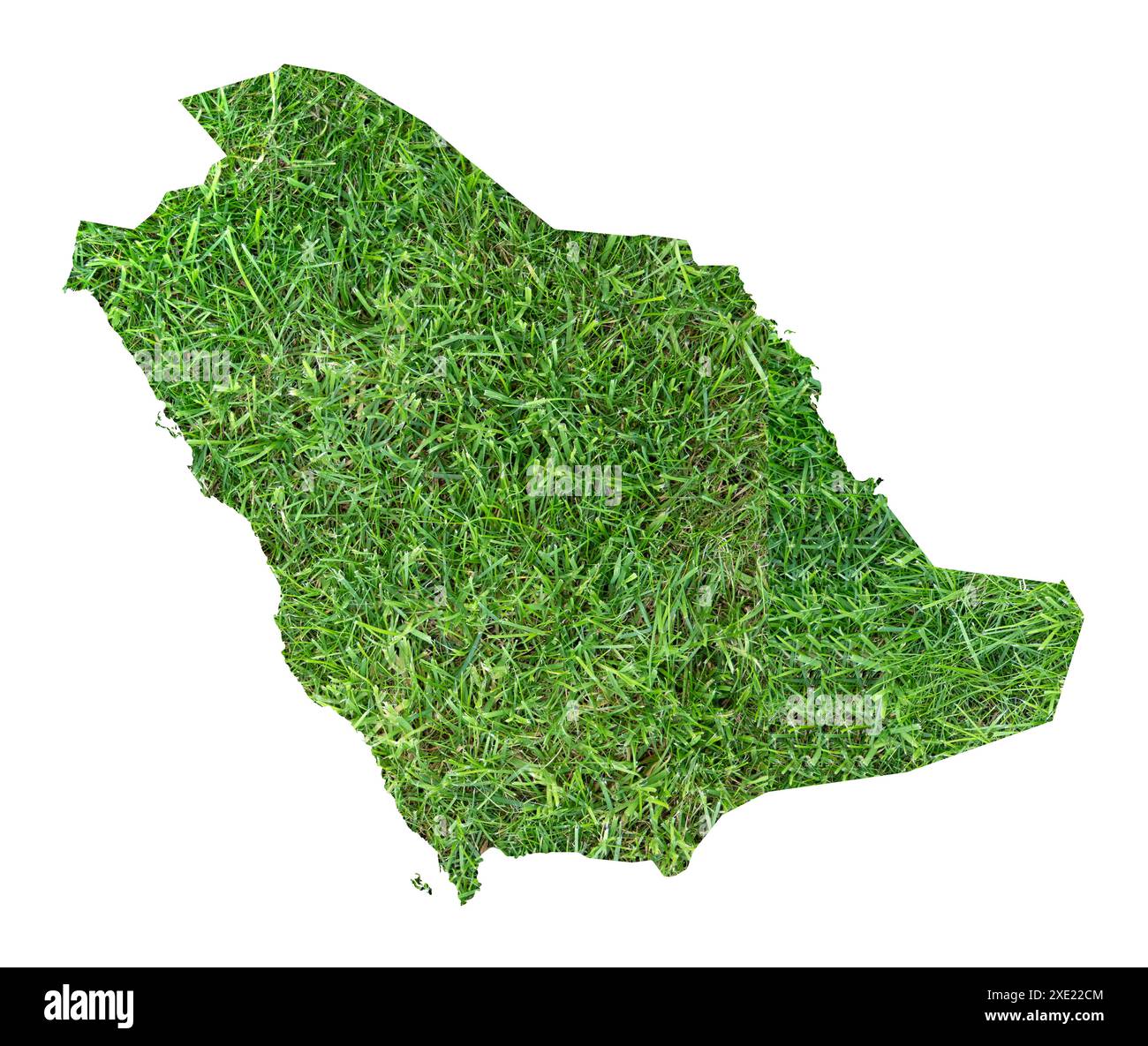 Map of Saudi Arabia showing the country as a grass football field Stock ...