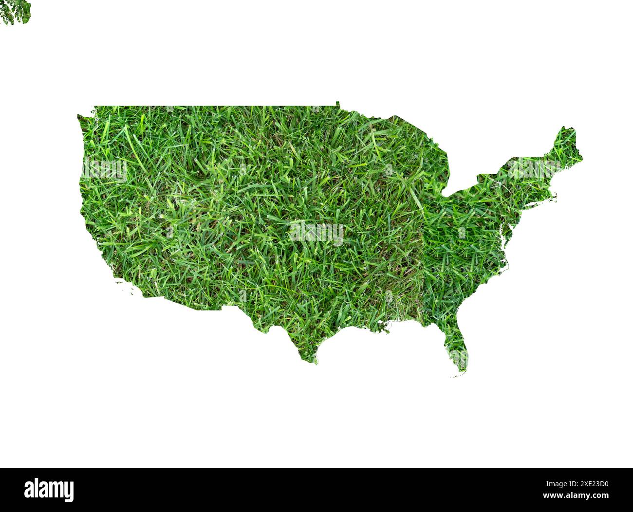Map of the United States of America showing the country as a grass ...