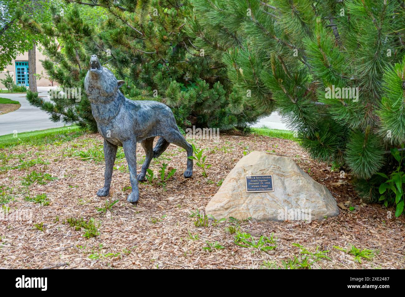 Lobos logo hi-res stock photography and images - Alamy