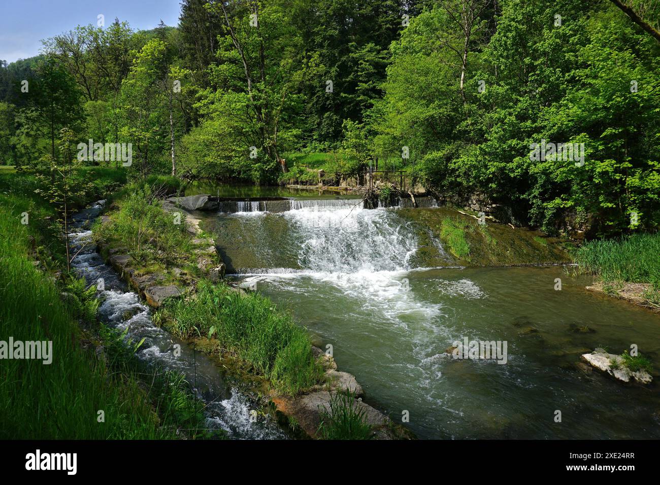 Bieringen hi-res stock photography and images - Alamy