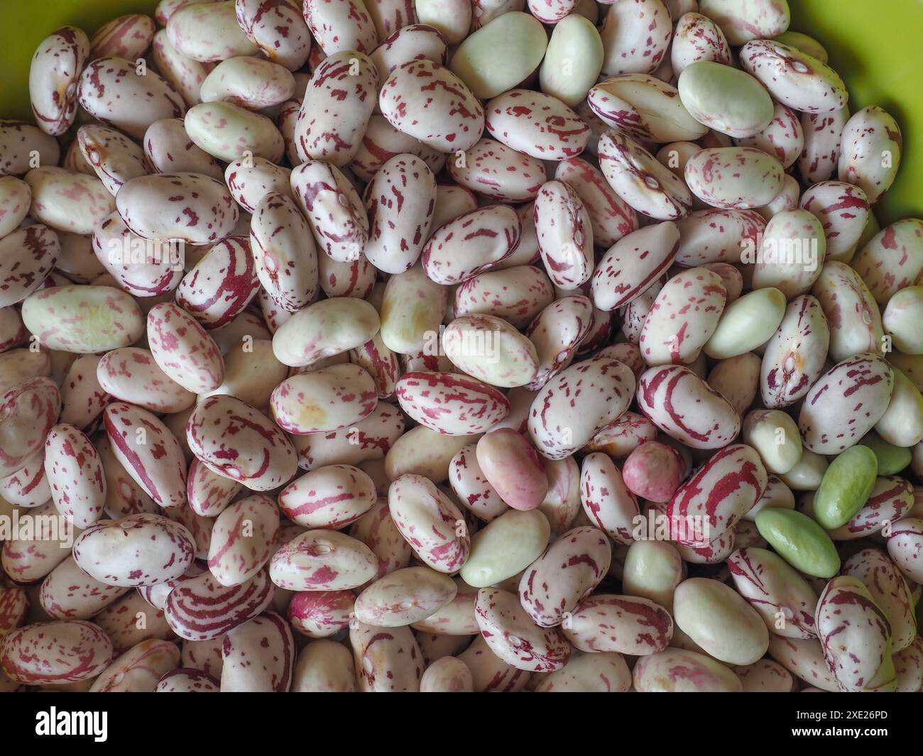 Crimson beans legumes food background Stock Photo - Alamy