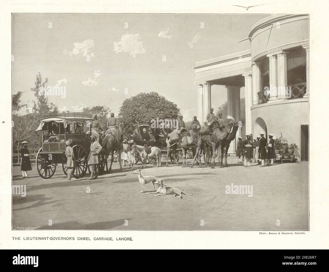 The Lieutenant-Governor's camel carriage, Lahore. Pakistan. 1910 Stock ...