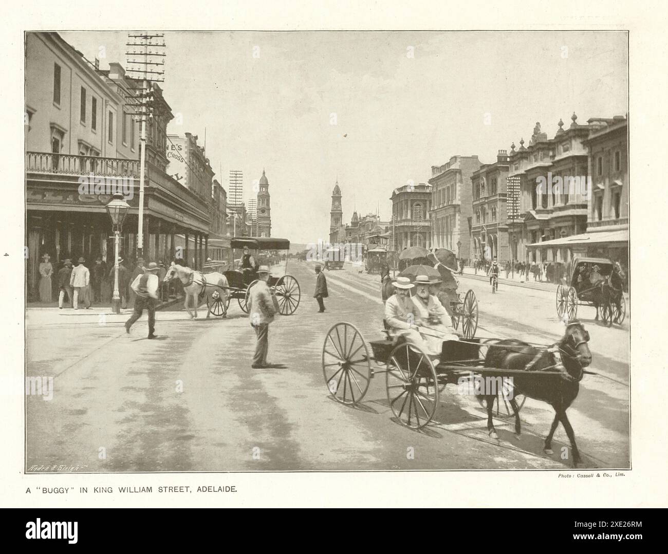 A "buggy" in King William Street, Adelaide. South Australia. 1910 Stock ...
