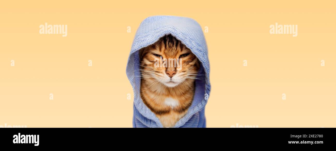 Yellow red text hi-res stock photography and images - Alamy