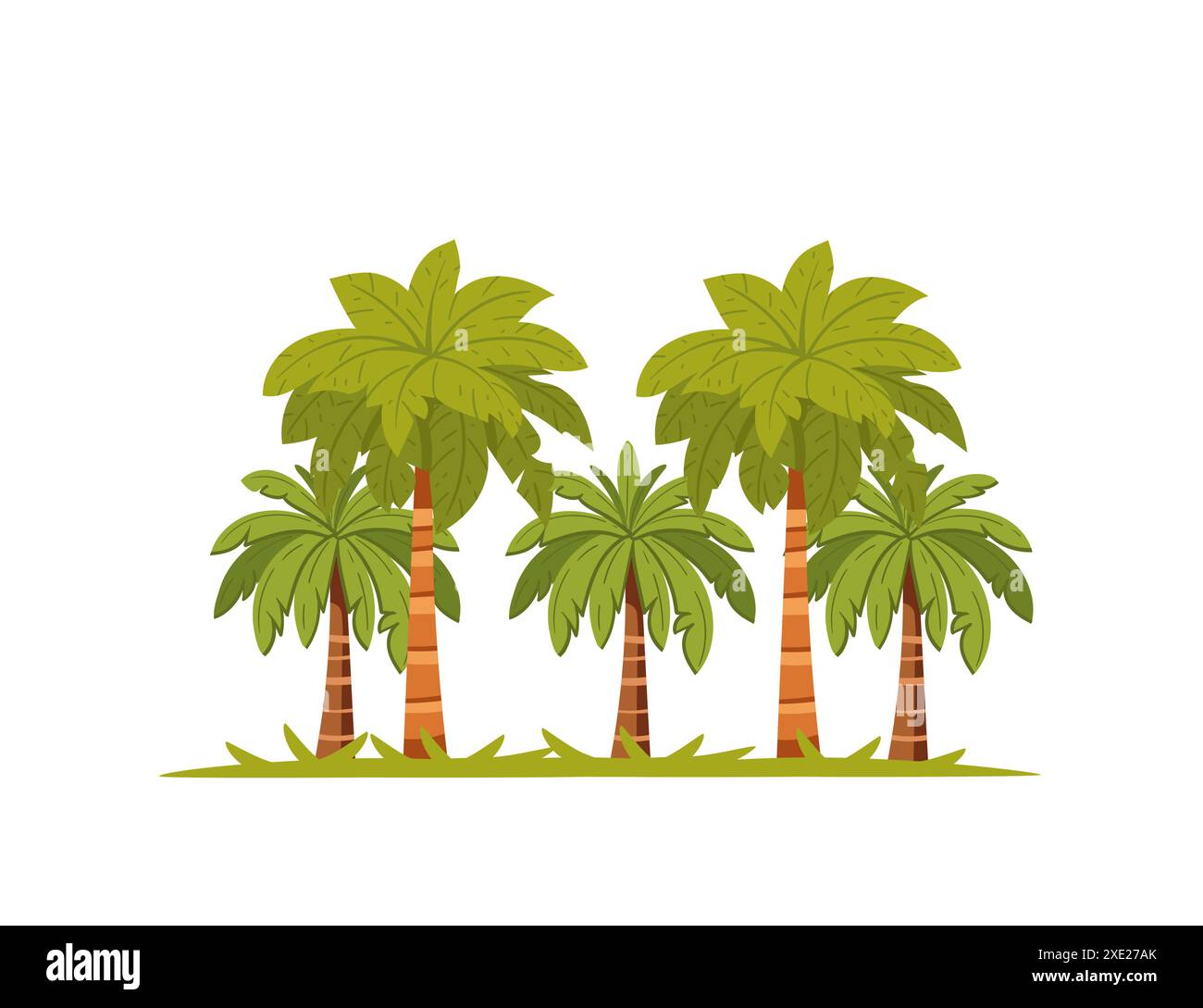 Tropical green palm trees with leaves and coconuts simple cartoon ...