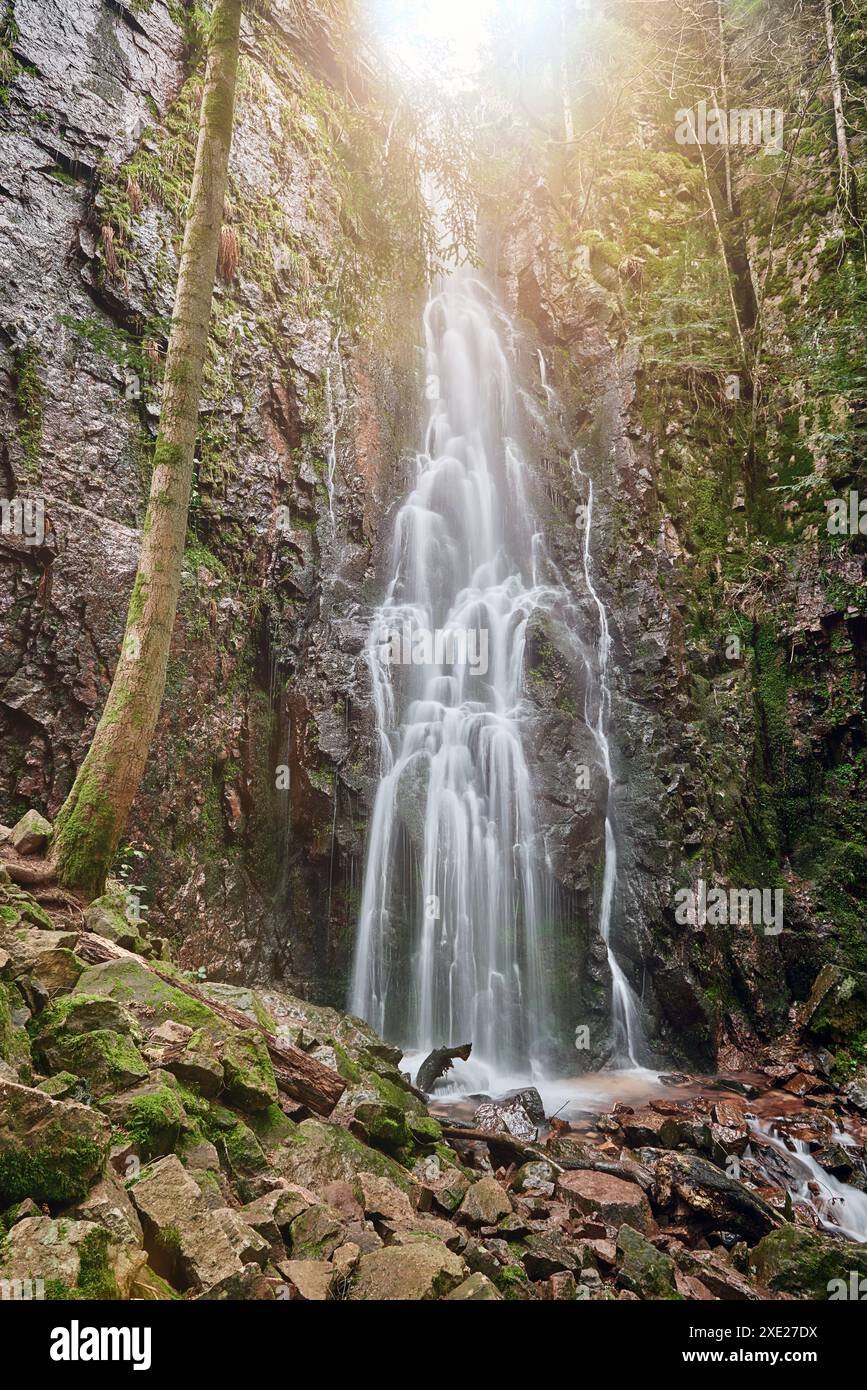 Burgbach Waterfall in coniferous forest falls over granite rocks into ...