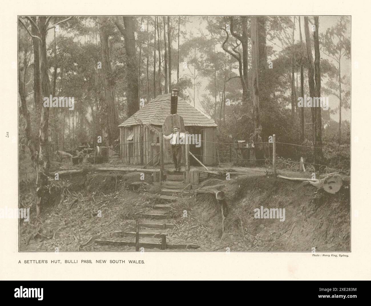 A settler's hut, Bulli Pass, New South Wales. 1910 Stock Photo - Alamy
