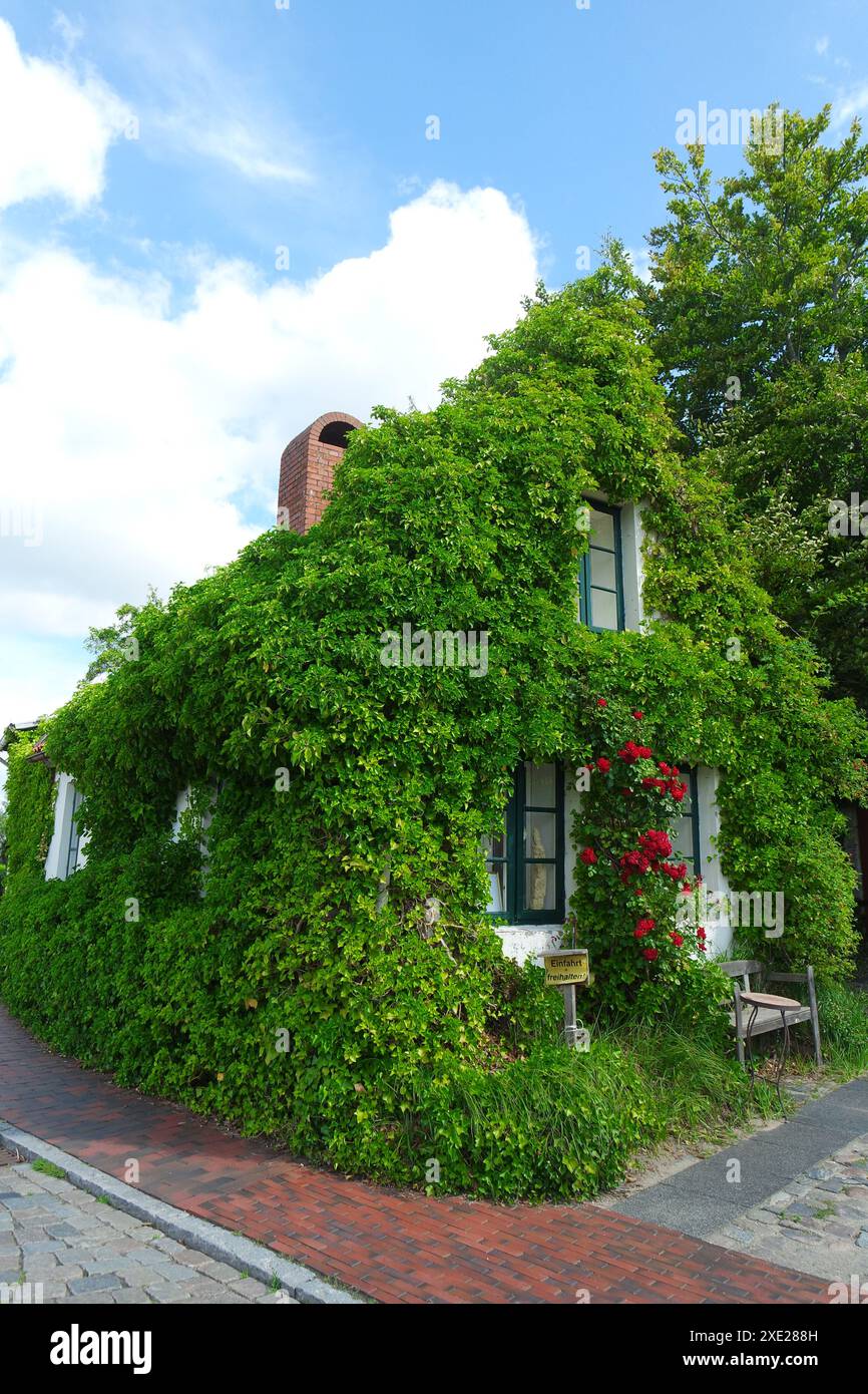 Old overgrown house hi-res stock photography and images - Alamy