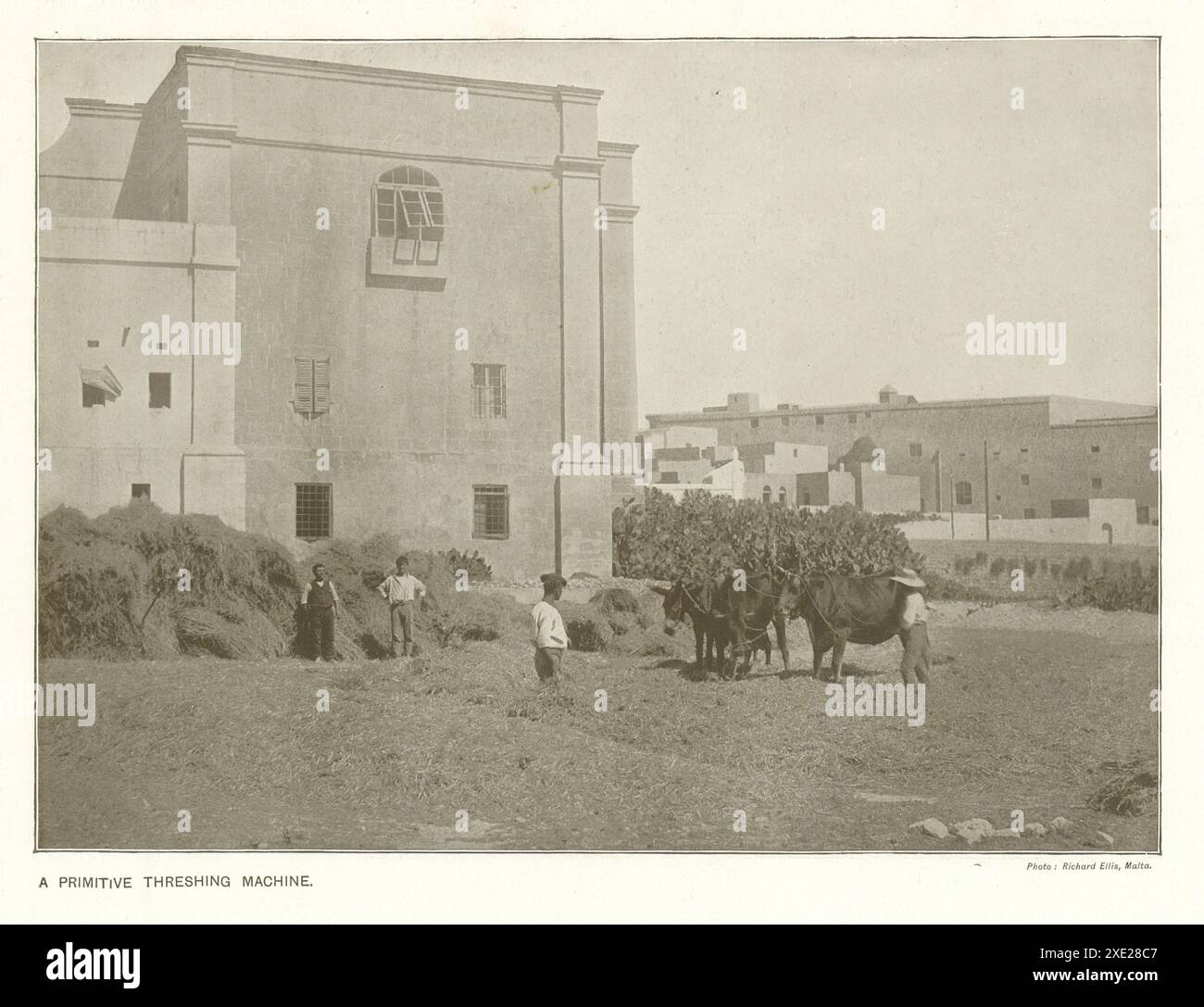 A primitive threshing machine Malta. 1910 Stock Photo - Alamy