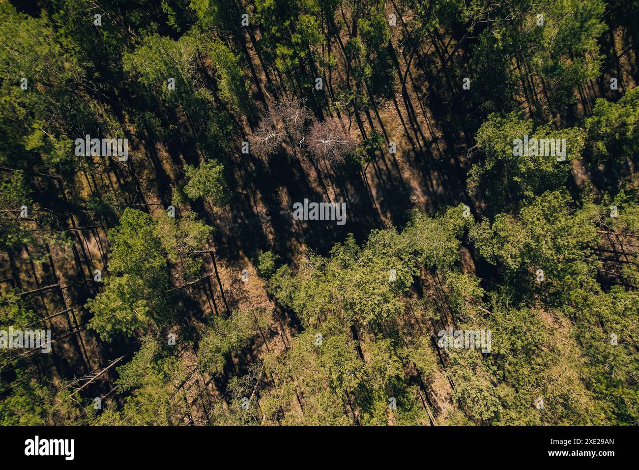 Beautiful aerial shot over tops hi-res stock photography and images - Alamy