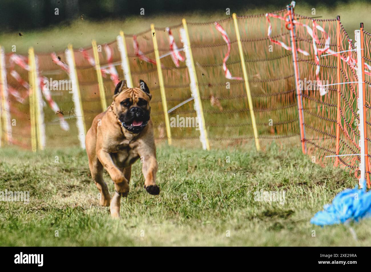 Lure racing hi-res stock photography and images - Alamy