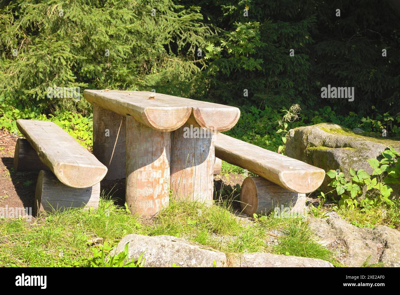 Bioma bel hi-res stock photography and images - Alamy