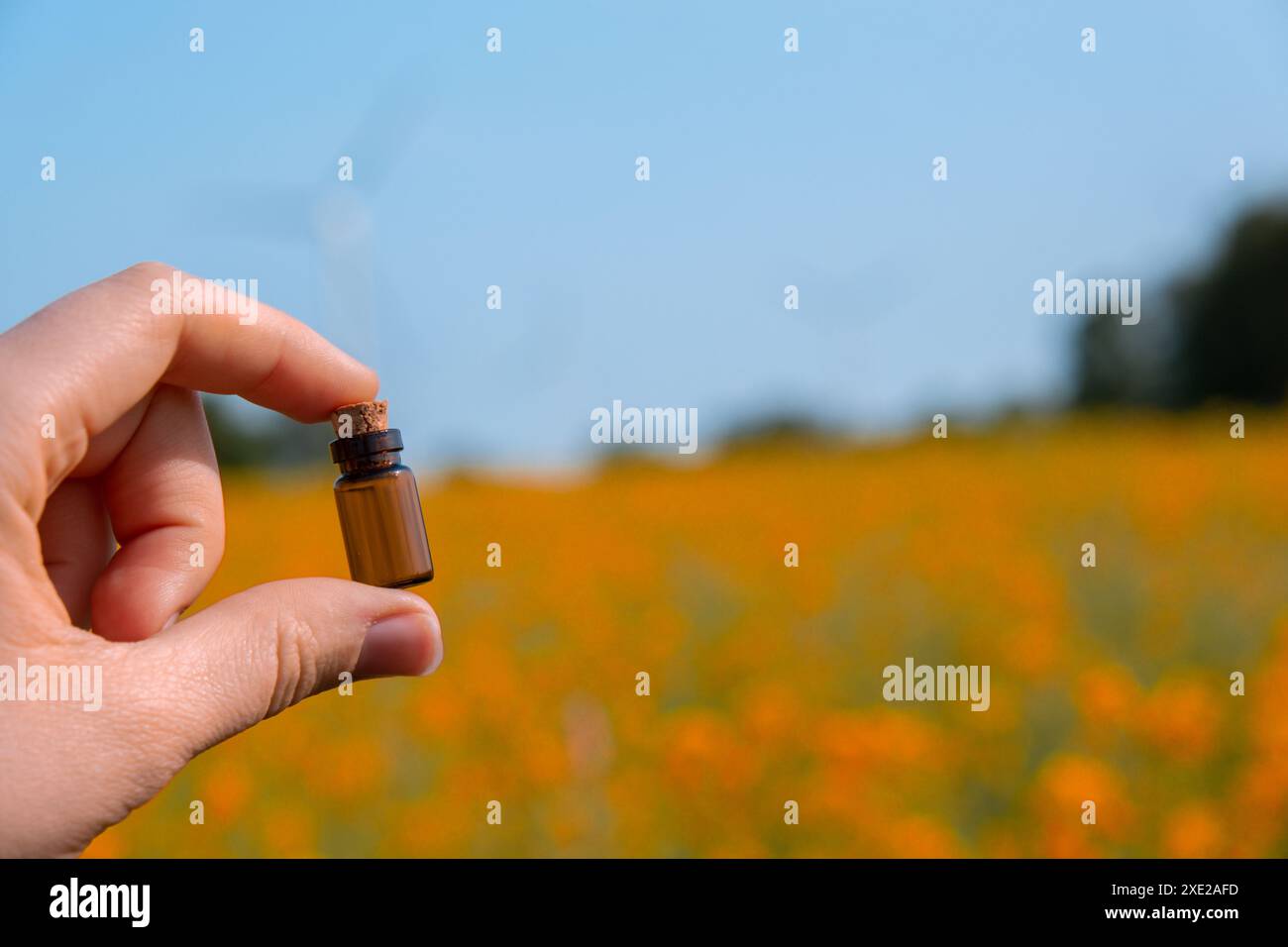 Farmer holding canola hi-res stock photography and images - Alamy