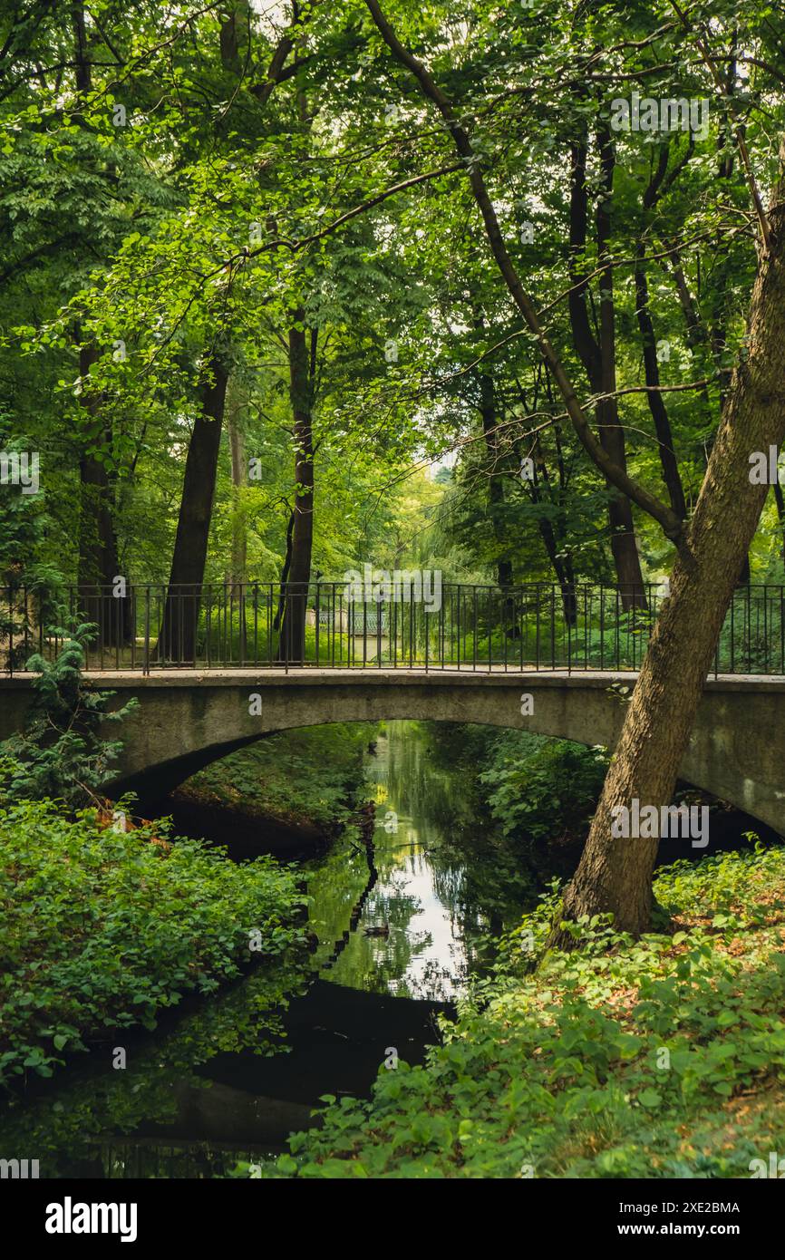 View green forest small river hi-res stock photography and images - Alamy