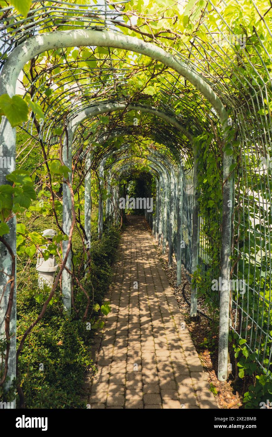 Botanical garden on the roof of the Warsaw University library modern ...