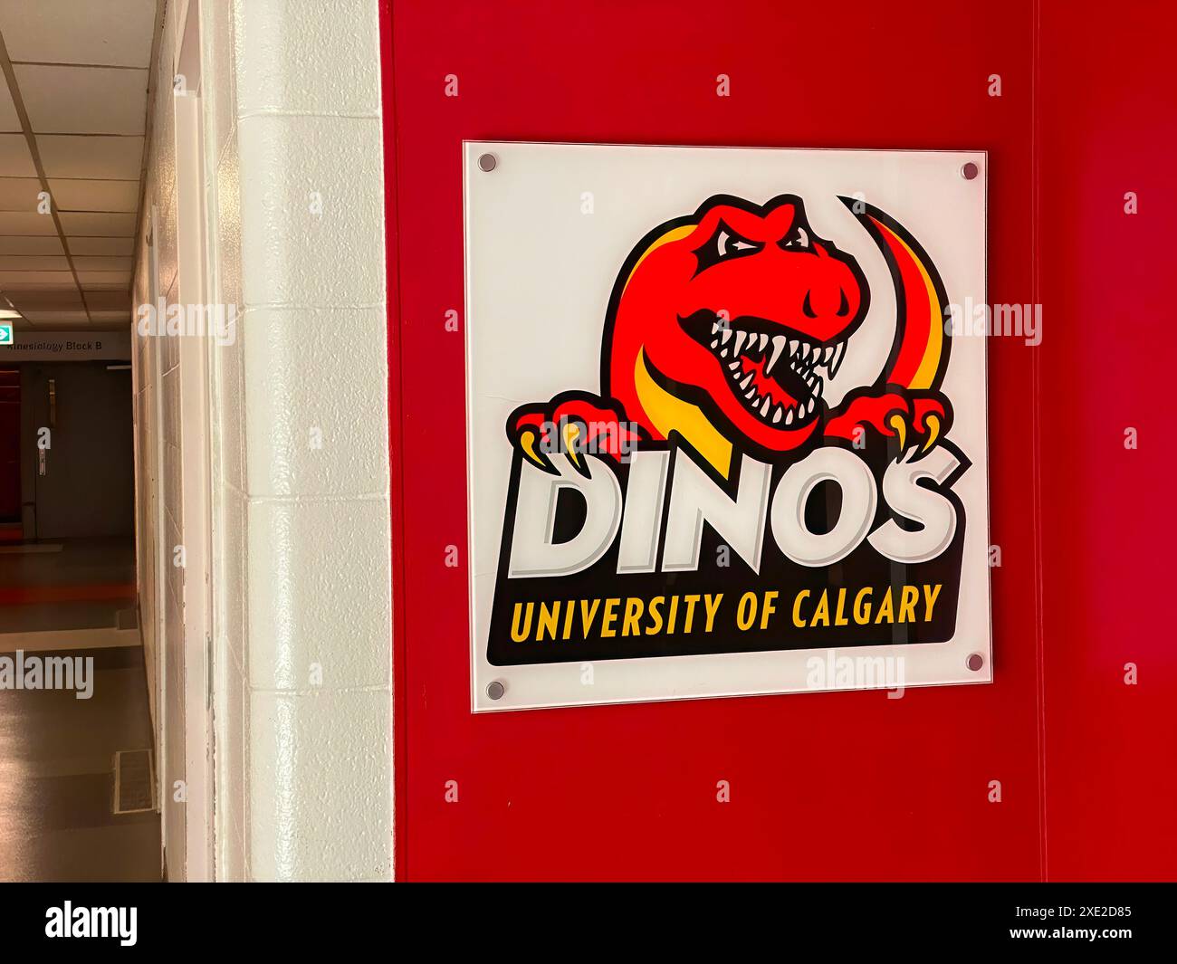 Calgary Dinos Logo