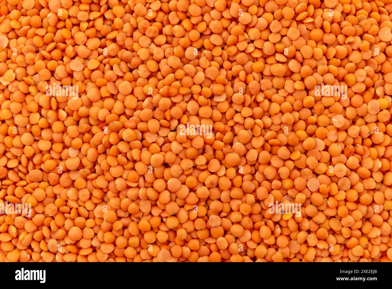 Background from lentil grains. Grains. Legume texture Stock Photo - Alamy