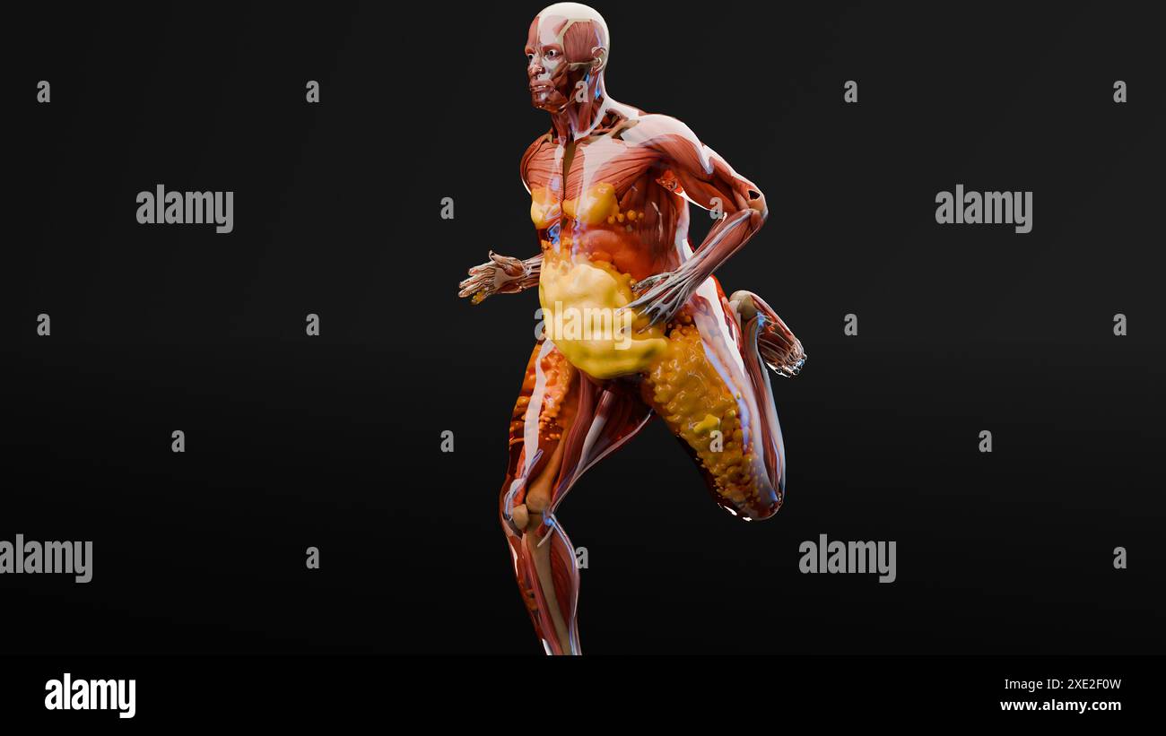 Weight loss Comparison. man body transformation. running jogging for ...