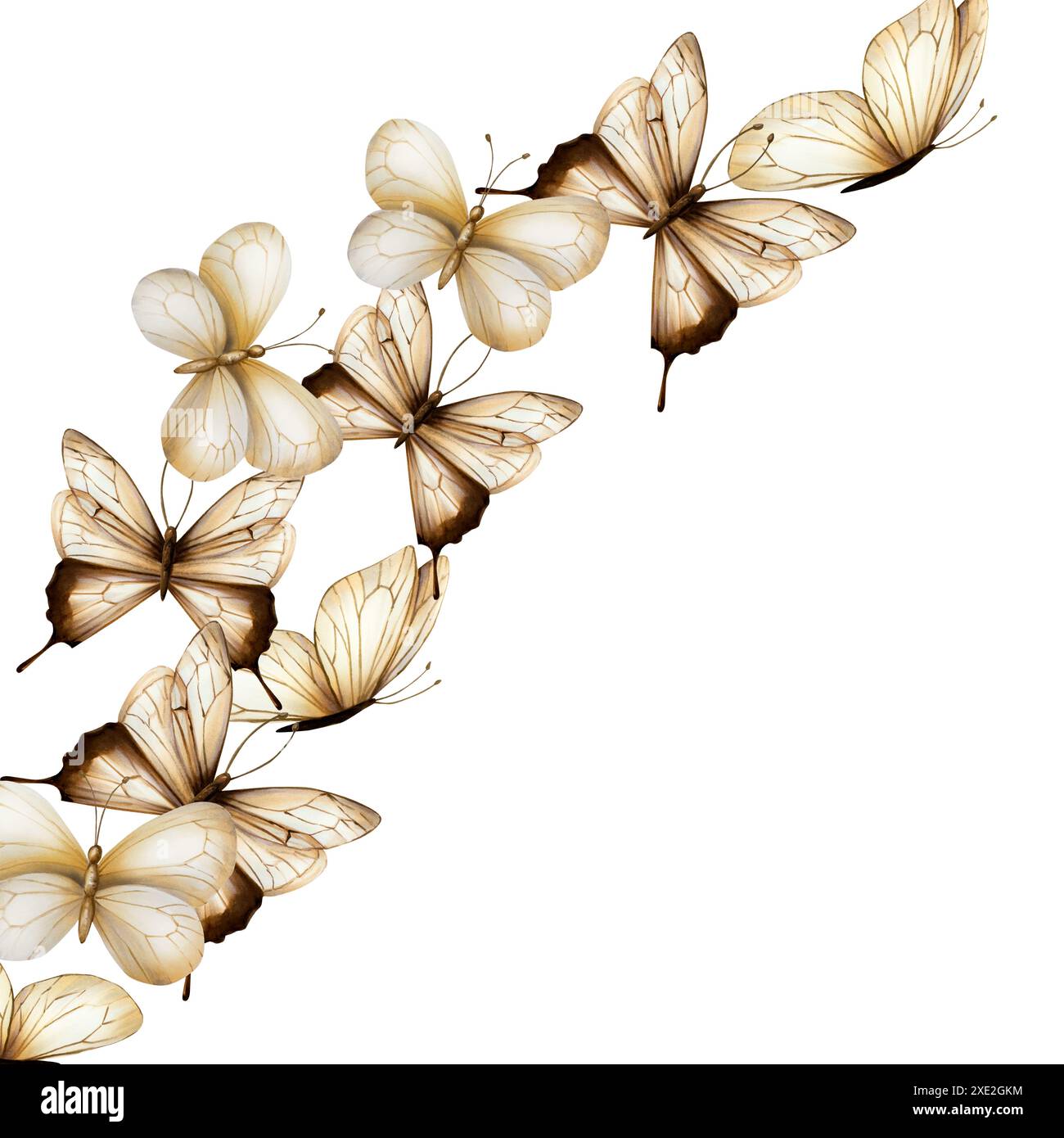 Frame, template with boho butterflies. Watercolor hand drawn beige ...