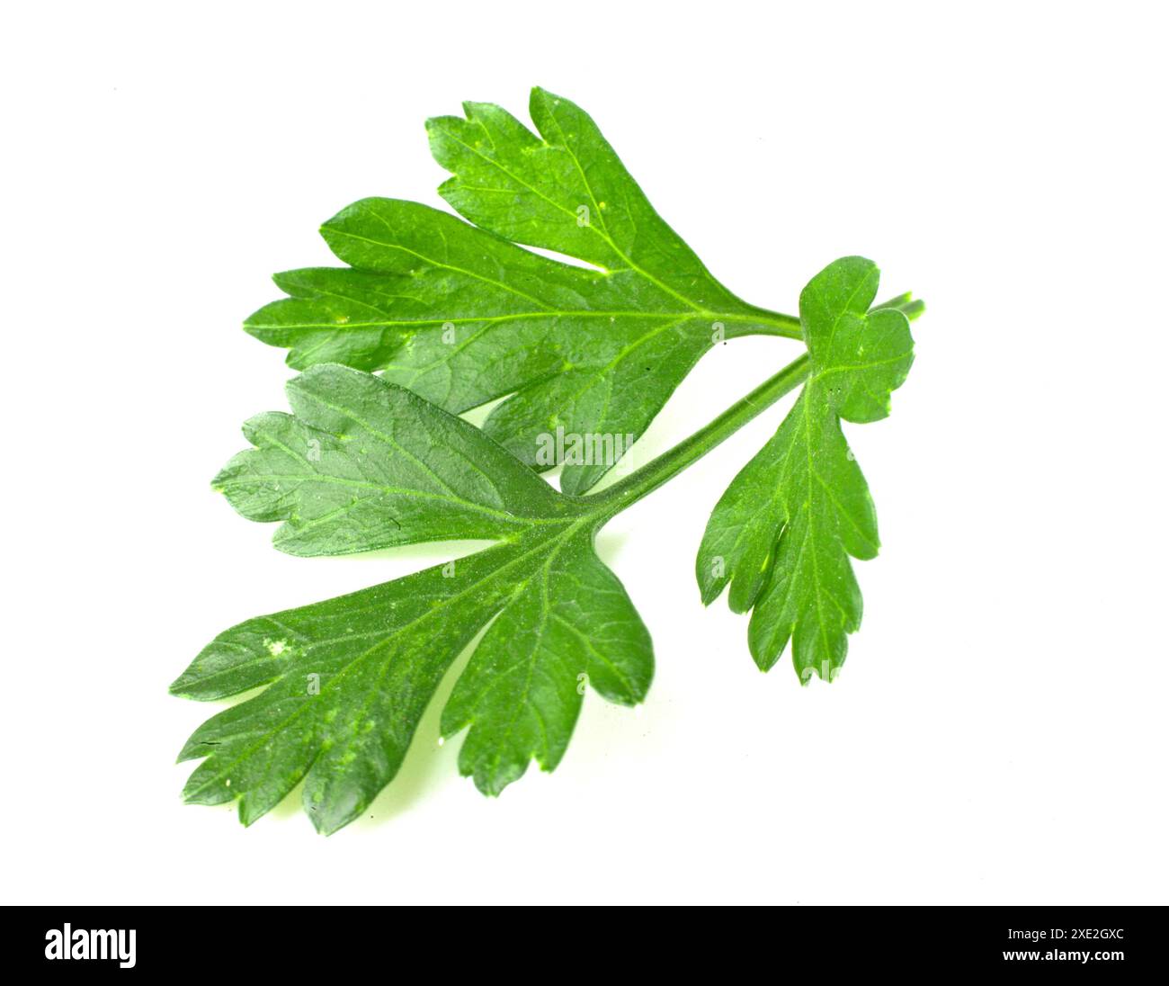 Spice up your cooking hi-res stock photography and images - Alamy