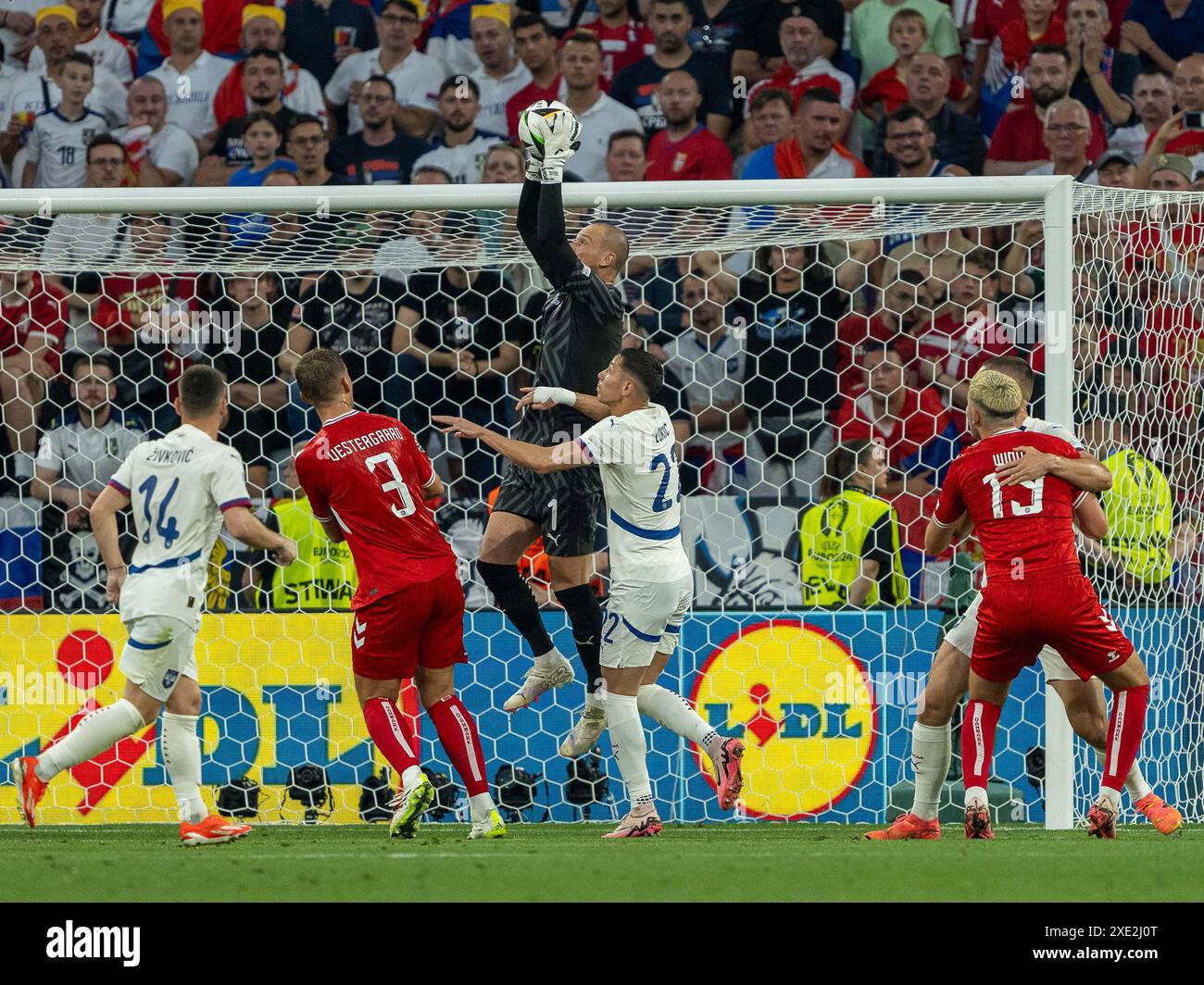 Andrija Zivkovic (Serbien, #14), Jannik Vestergaard (Daenemark #03 ...