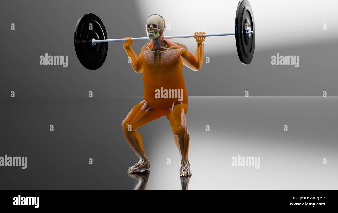 Barbell parallel Squat Exercise. Bodybuilding gym exercising, High Bar ...