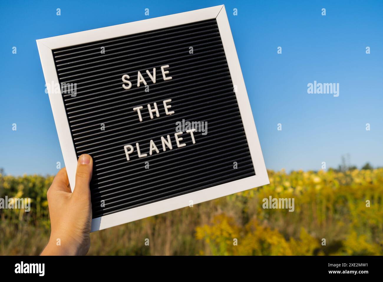 Save nature concept sunflower hi-res stock photography and images - Alamy