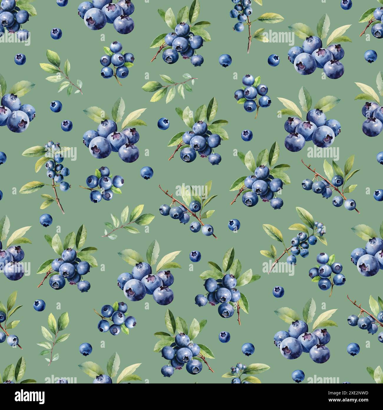 Watercolor pattern with blueberries and leaves Stock Photo - Alamy
