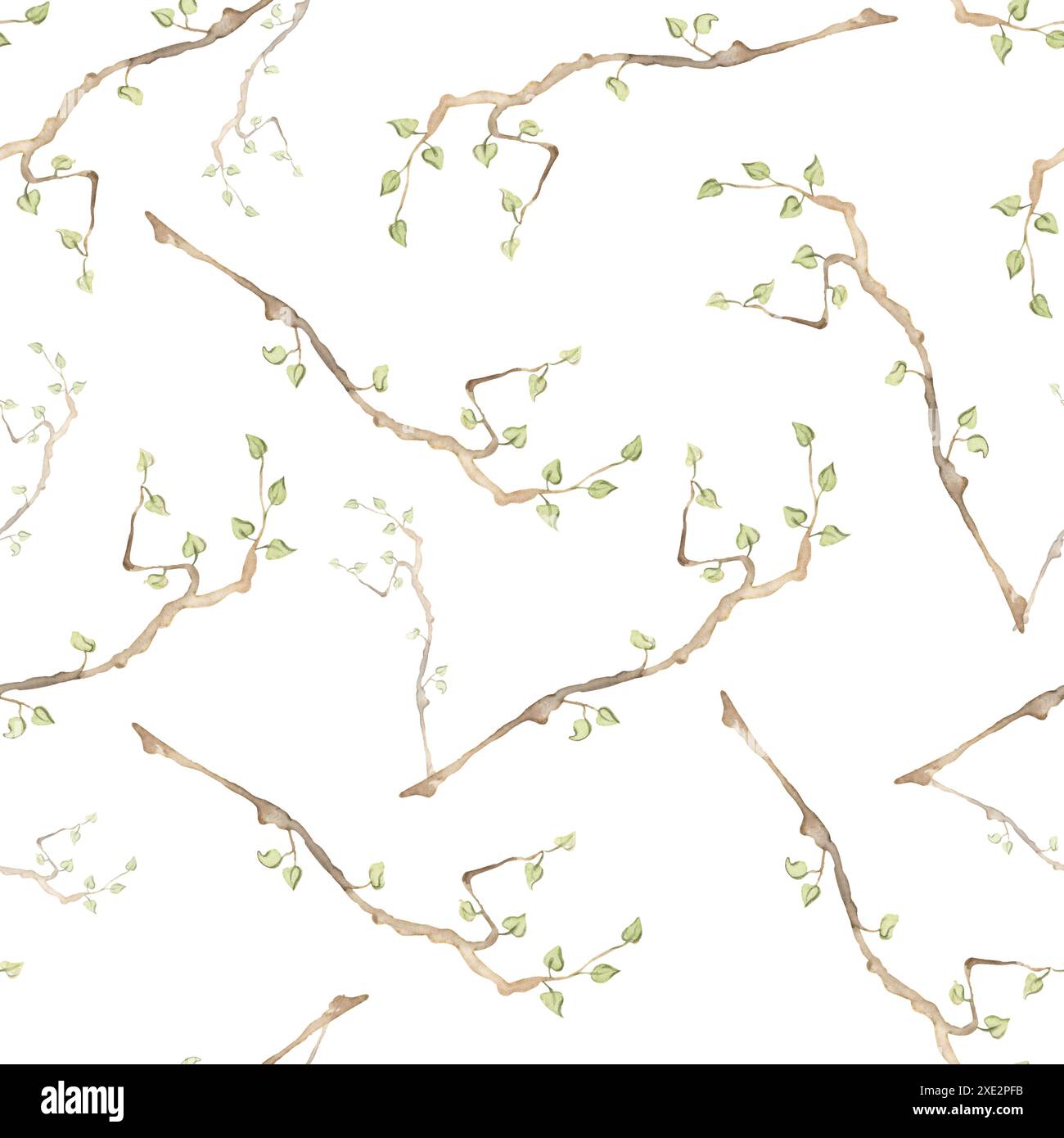 botanical seamless pattern with a realistic branch Stock Photo - Alamy