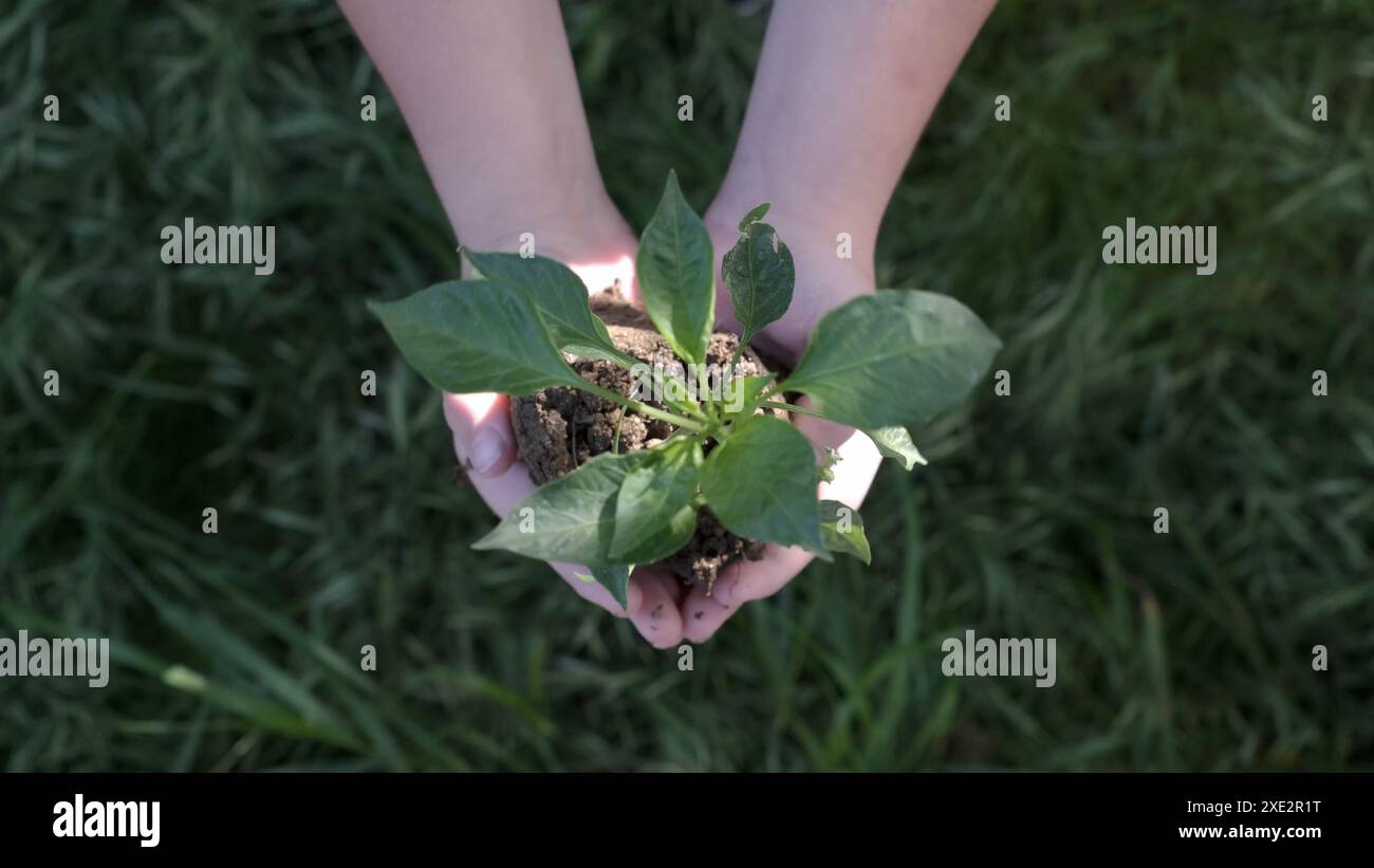 Terrestrial agriculture hi-res stock photography and images - Alamy