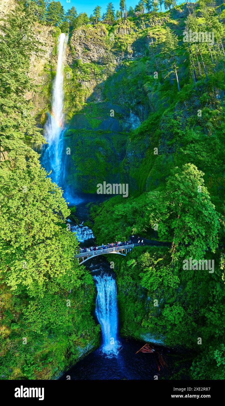 Aerial View of Multnomah Falls and Footbridge in Oregon Forest Stock ...