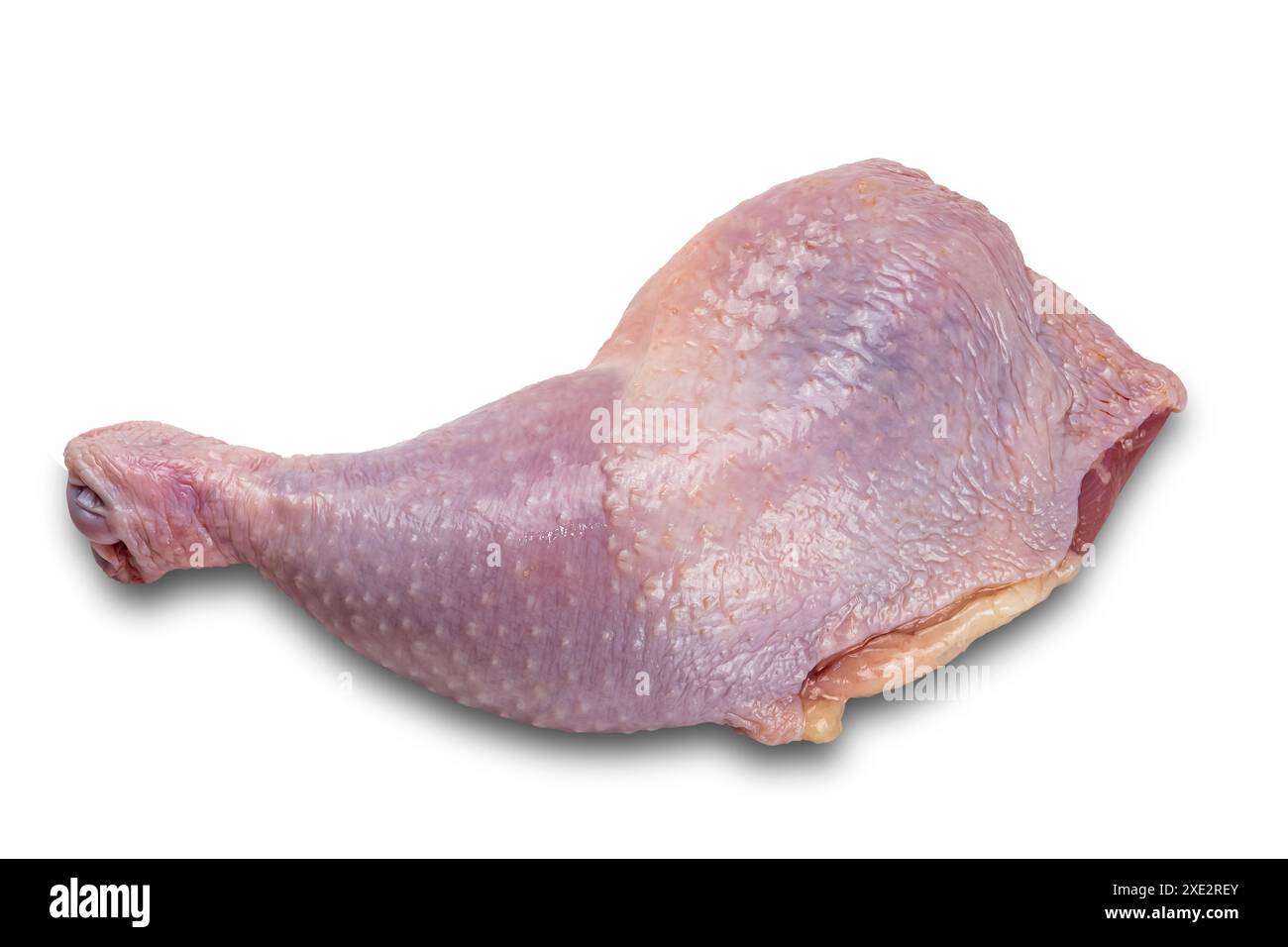 Top view of single fresh chicken leg isolated on white background with ...