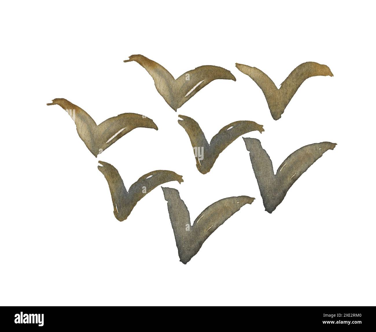 Flying birds collection hi-res stock photography and images - Alamy