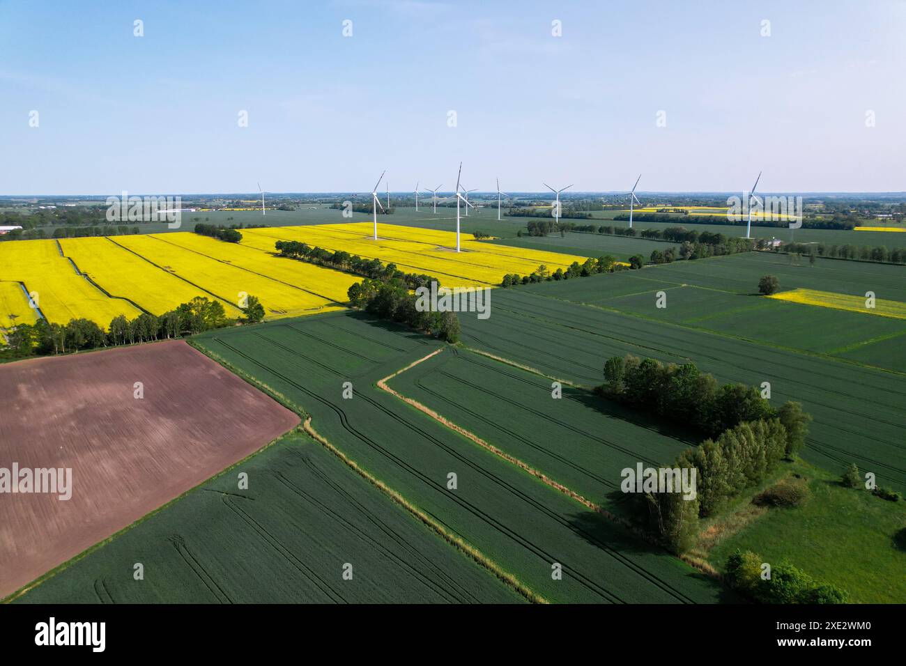Aerial view Wind turbine on grassy yellow farm canola field against ...