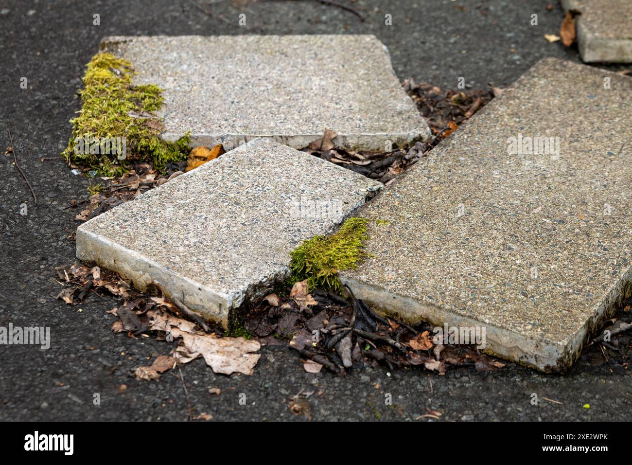 Laying patio slabs hi-res stock photography and images - Alamy