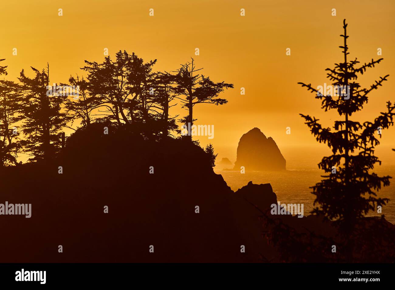 Golden Sunset Over Arch Rock and Forested Cliffs Aerial Perspective ...