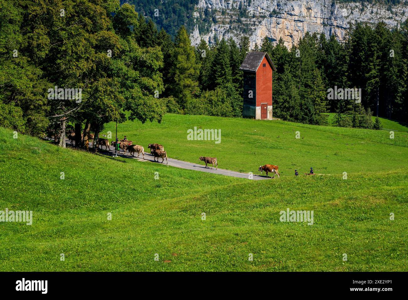 Lucerne farm hi-res stock photography and images - Alamy