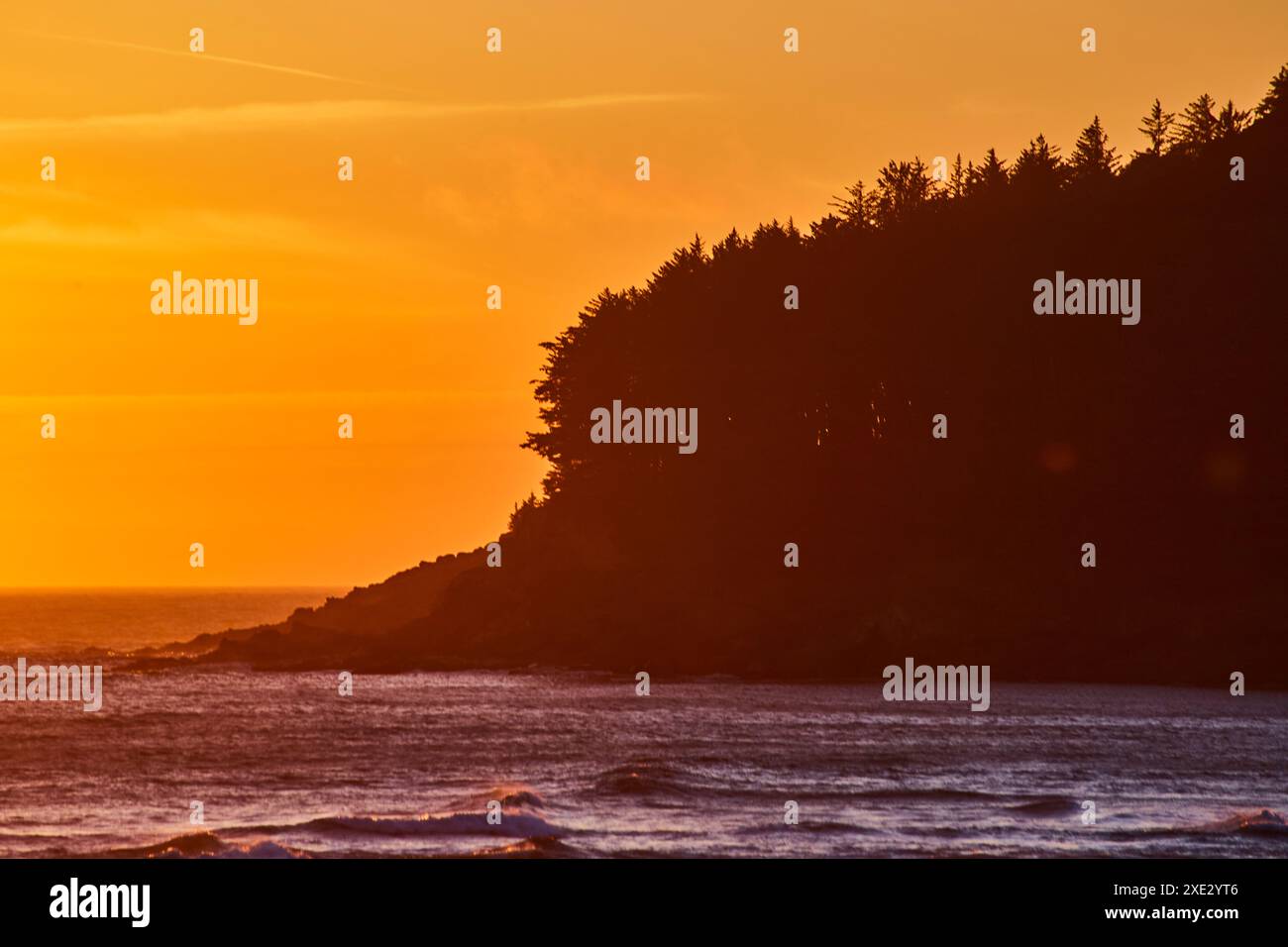 Silhouette forest in sunset hi-res stock photography and images - Alamy