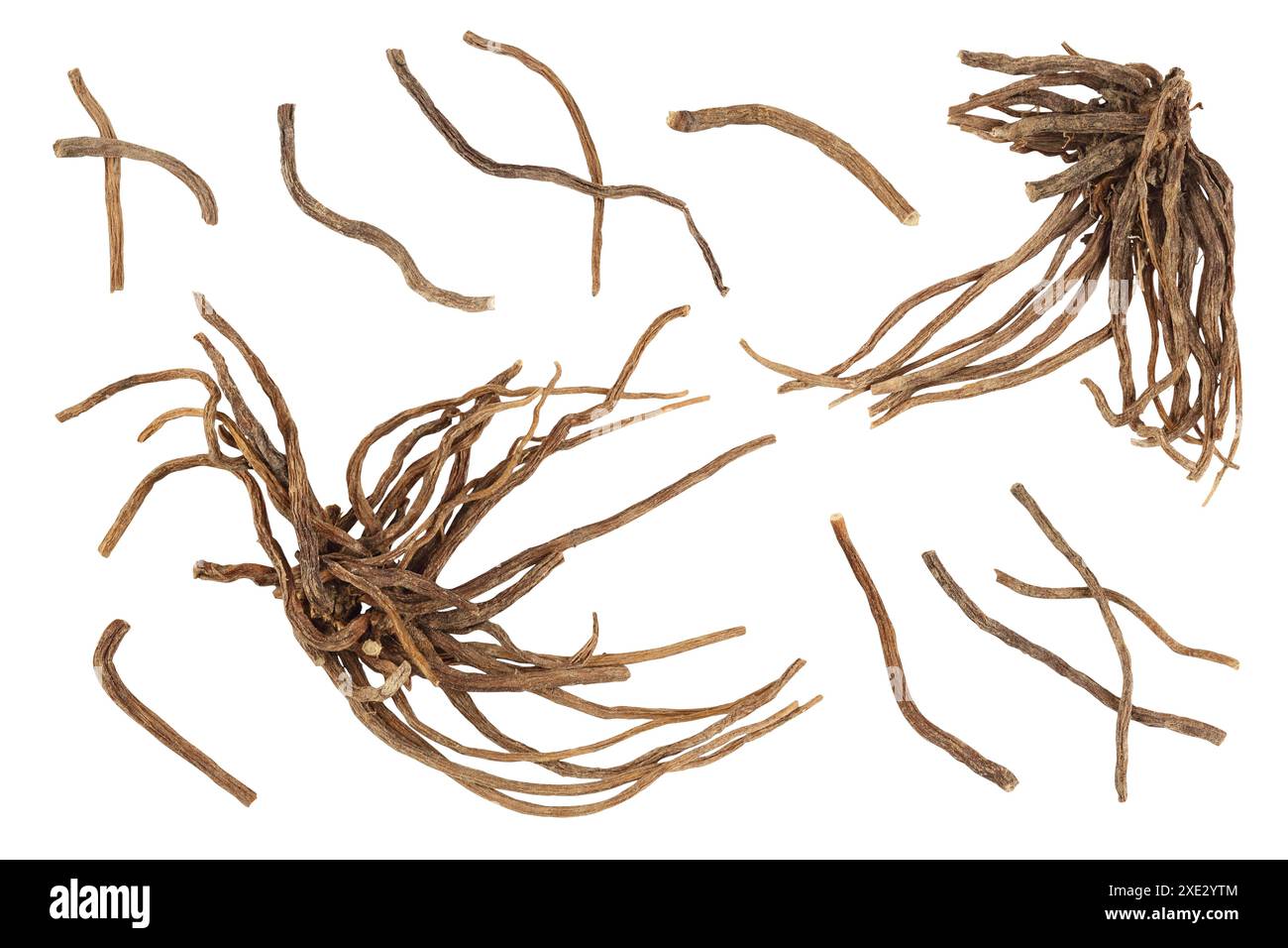 Dried Valerian root isolated on white background. Valeriana officinalis ...