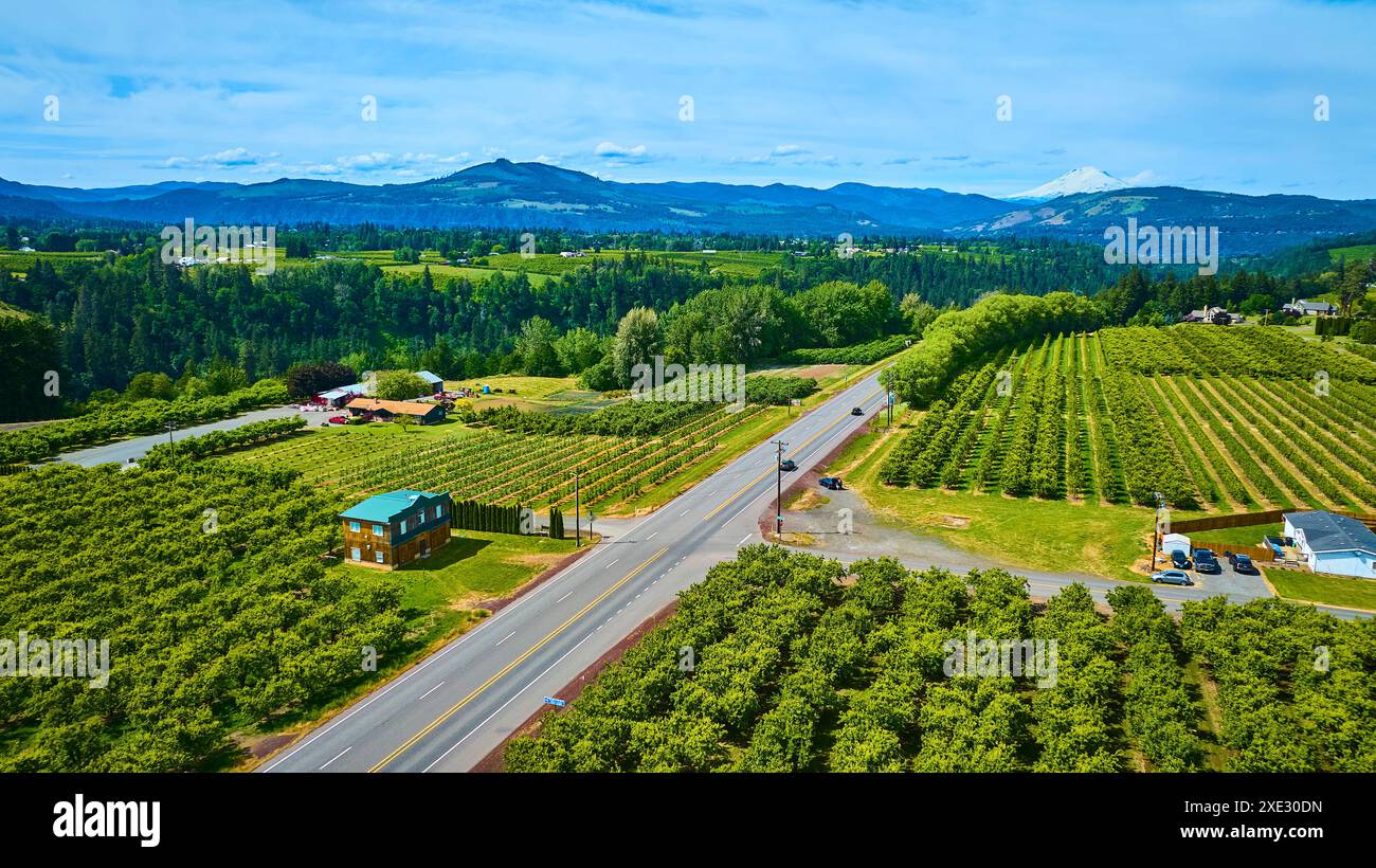 Mountain orchards greenery hi-res stock photography and images - Alamy
