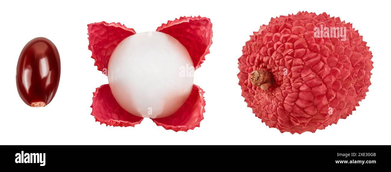 lychee fruit isolated on white background with full depth of field. Top ...
